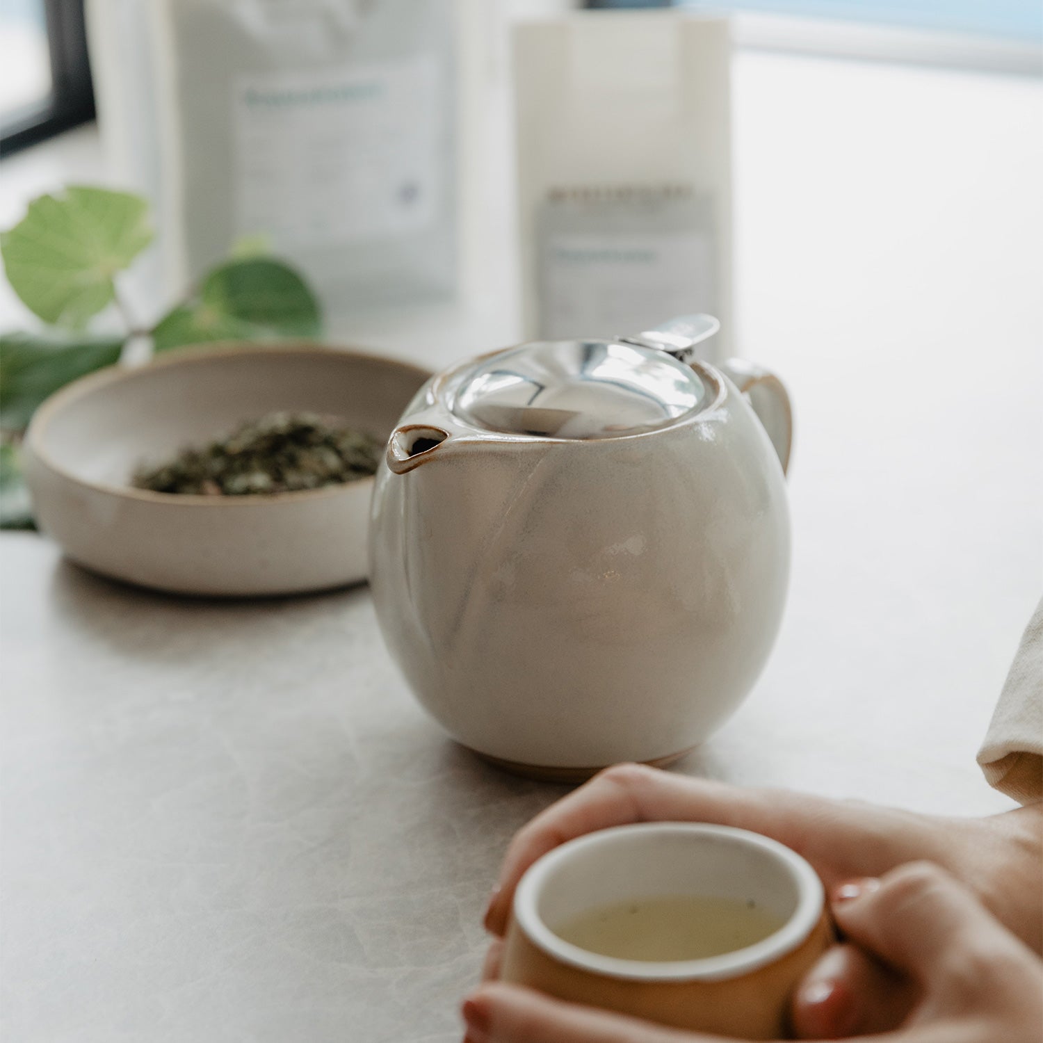 Natural Ceramic Teapot 1-2 Cups – Webster's Tea